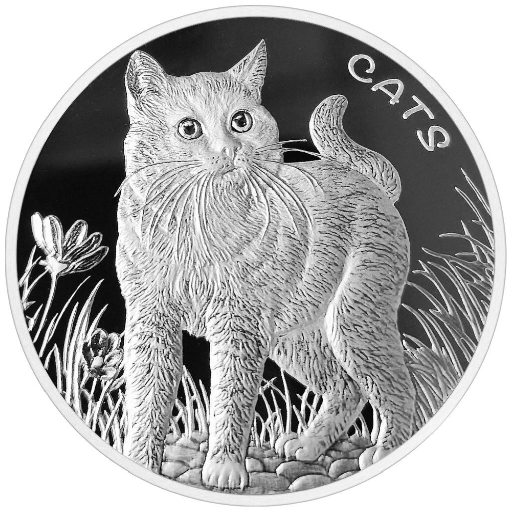 Fiji 2021 CATS Silber 1 oz