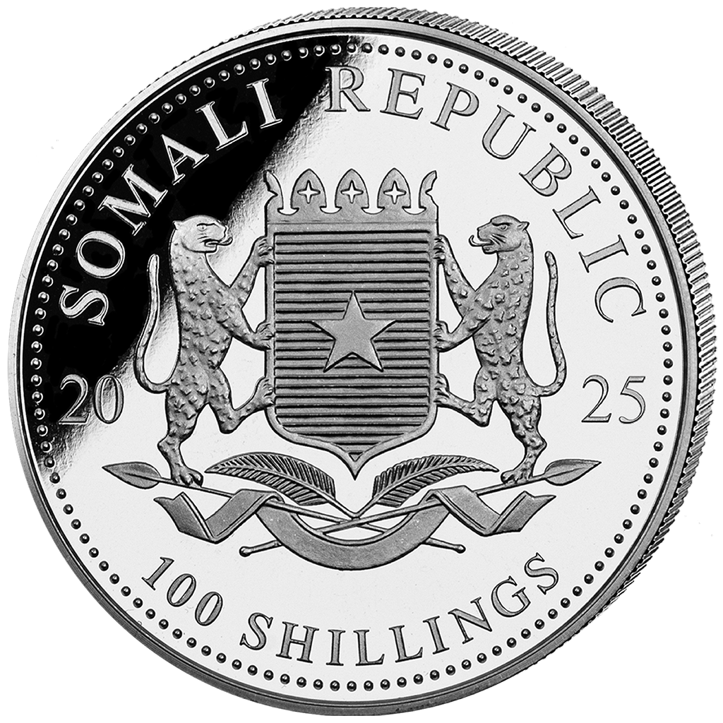 Somalia 2025 Leopard 1 oz Silber Preis Wert
